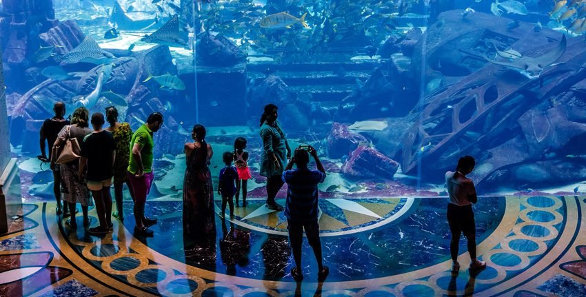 Atlantis Lost Chambers Aquarium - Prime Rise Tourism